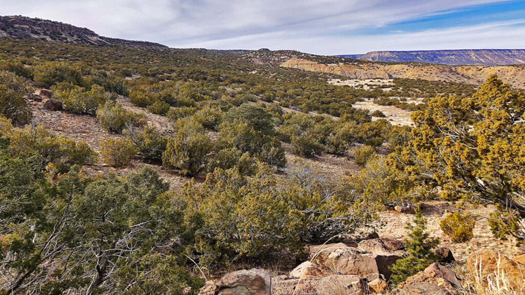 Economic Development Plan - Native American lands - AEC Adventure ...